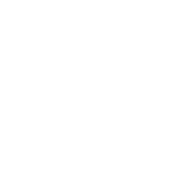 secretservice